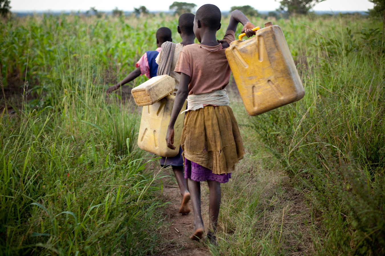 UN Women’s Day and Water | HarborLAB